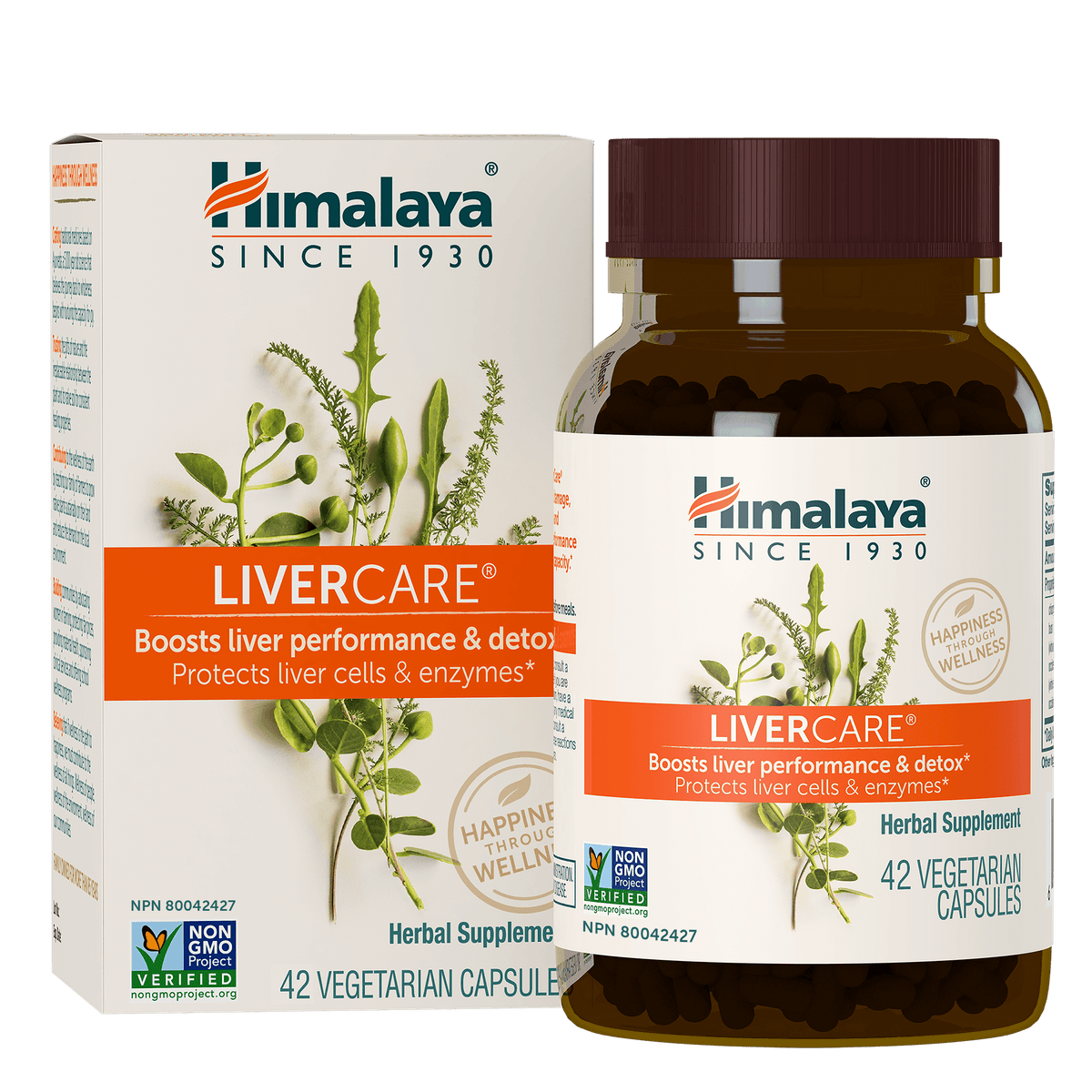 Liver Cleanse - LiverCare® Powder | Himalaya – Himalaya Wellness (US)