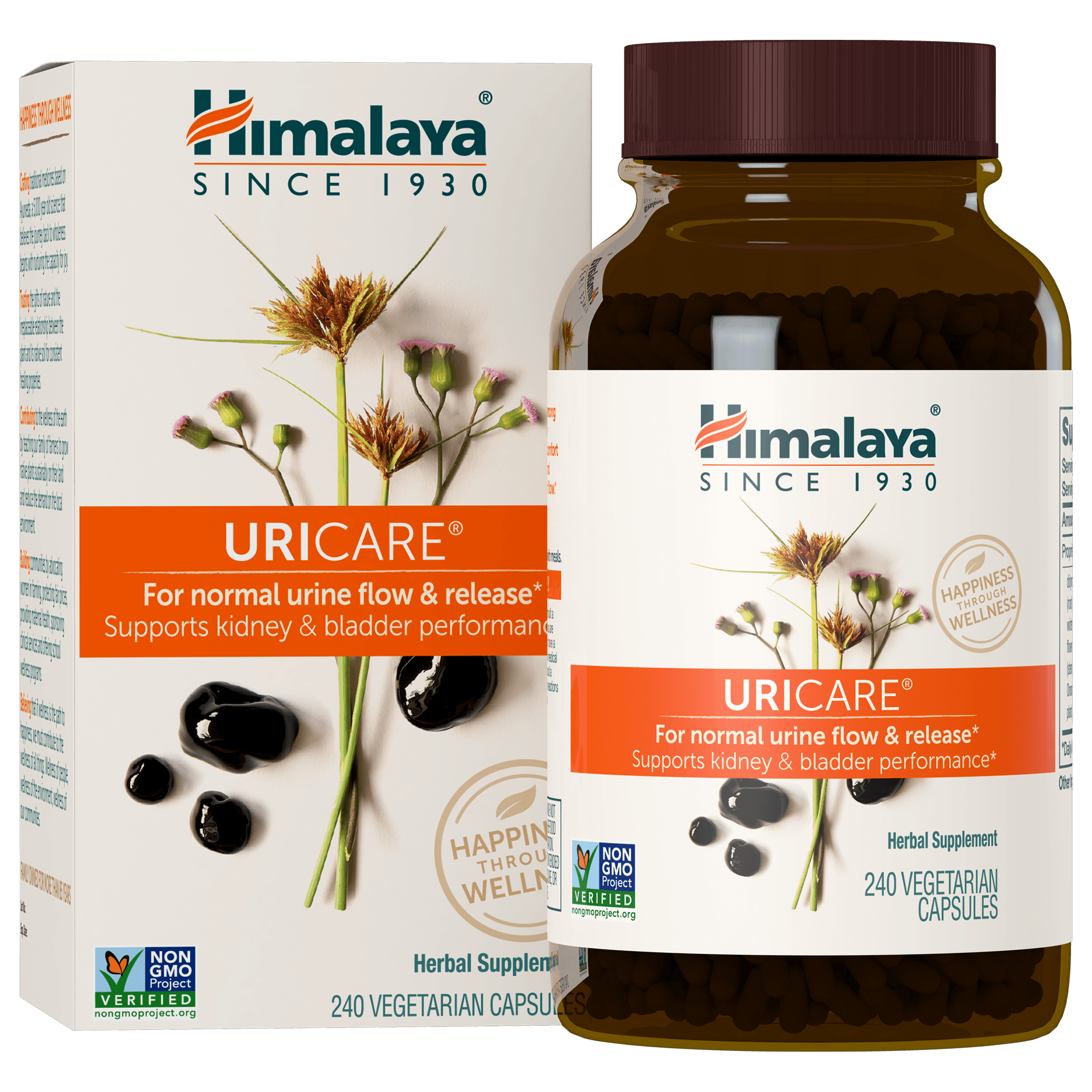 Kidney & Urinary Tract Support - UriCare® | Himalaya – Himalaya ...
